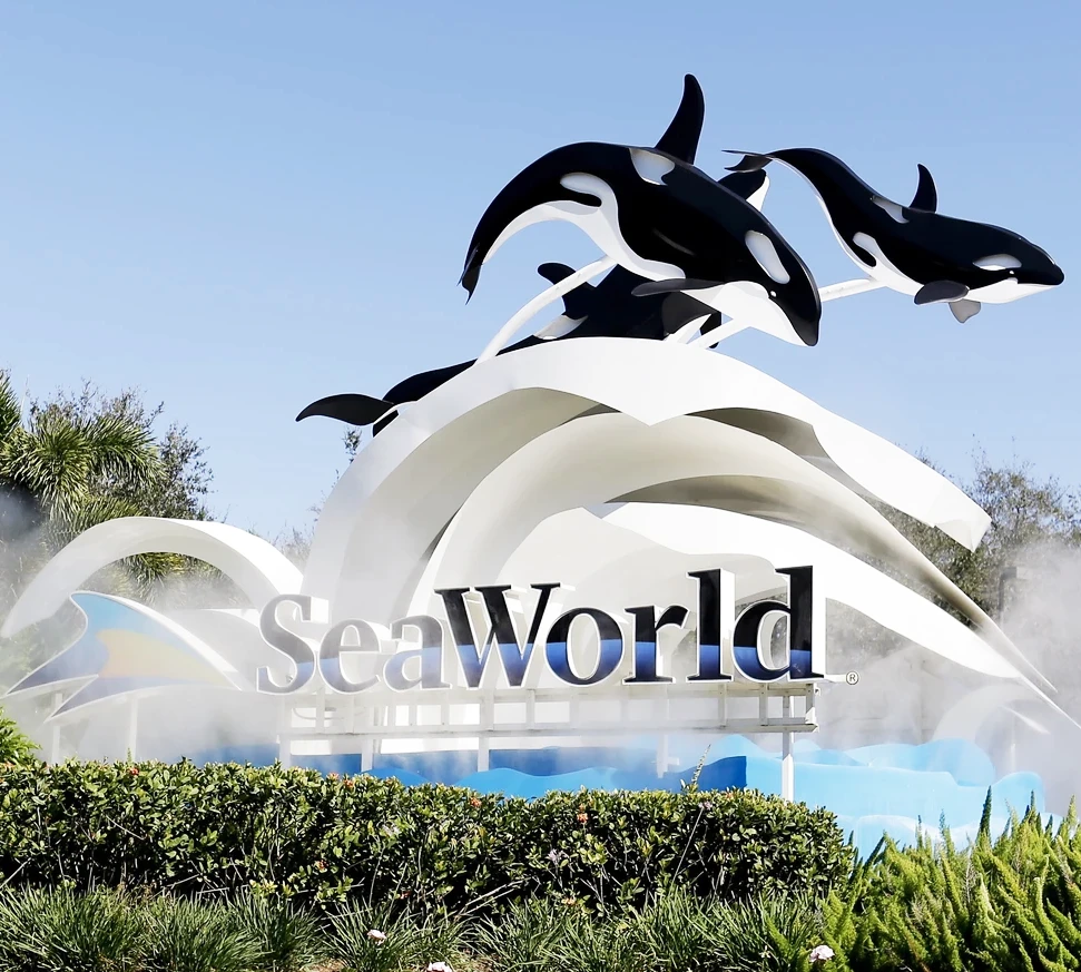 Seaworld Orlando To MCO Transportation | Royal Transportation